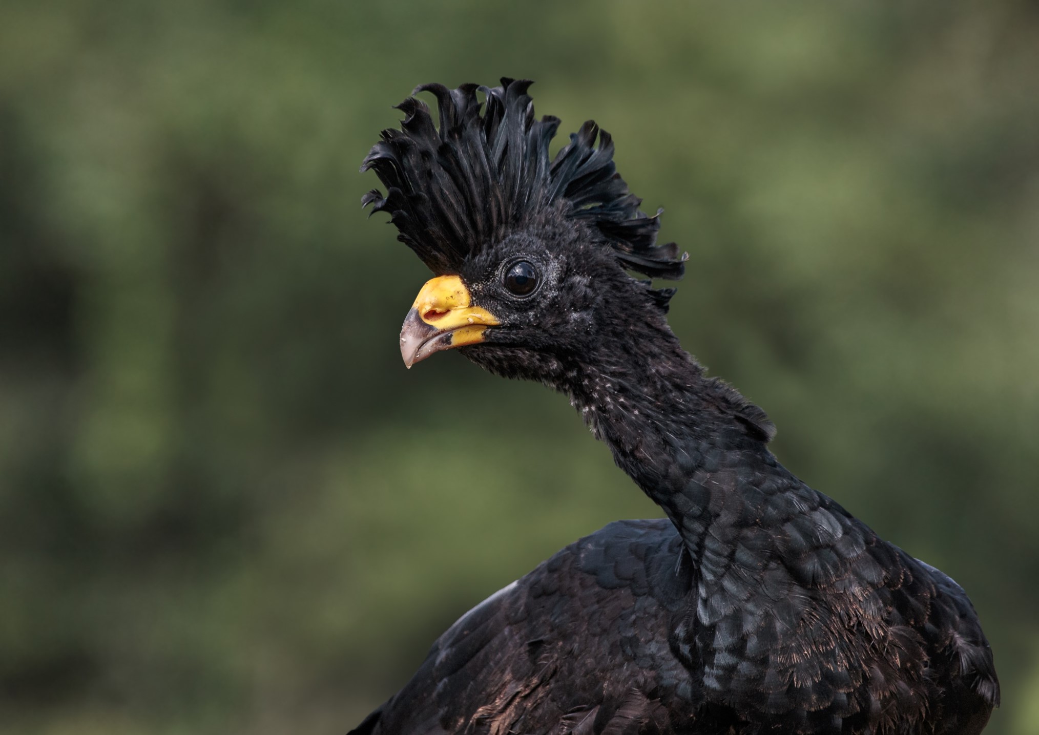 Homepage - EN - Mamoní Valley Preserve